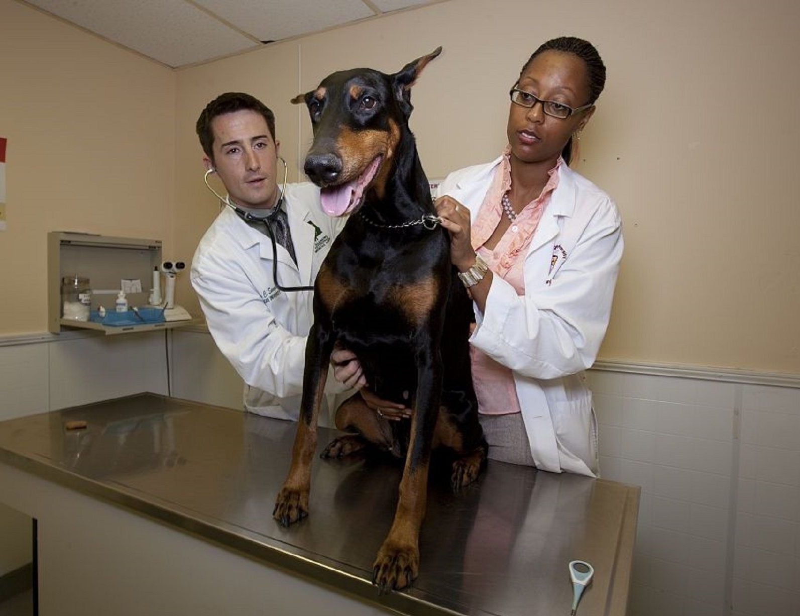 Veterinaria con un grande: El Dr. Pol un referente de lujo