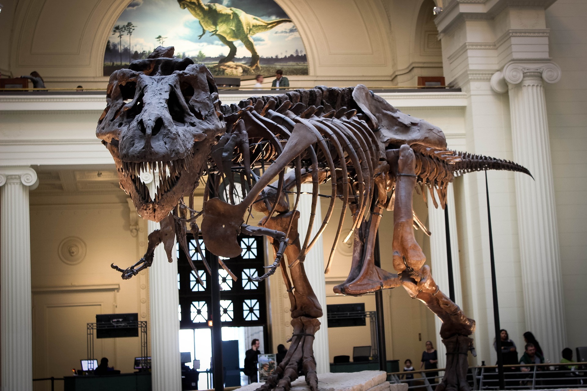 Paleontología: descubre la historia de los dinosaurios